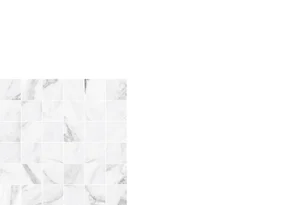 Statuary Porcelain — Statements Tile