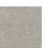 Boost Stone Porcelain — Statements Tile