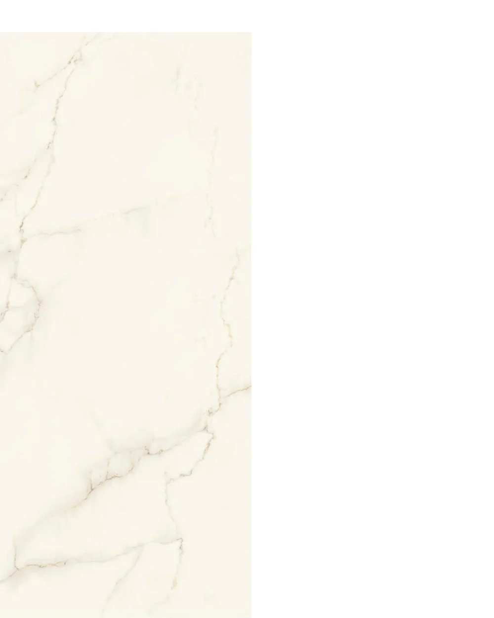 Marvel X Porcelain Slab — Statements Tile