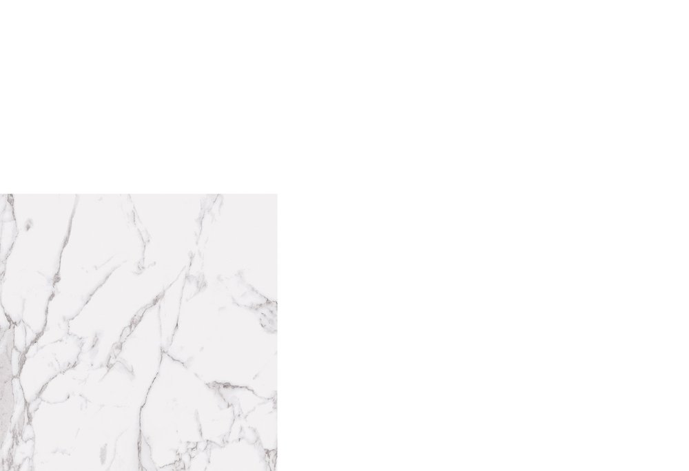 Statuary Porcelain — Statements Tile