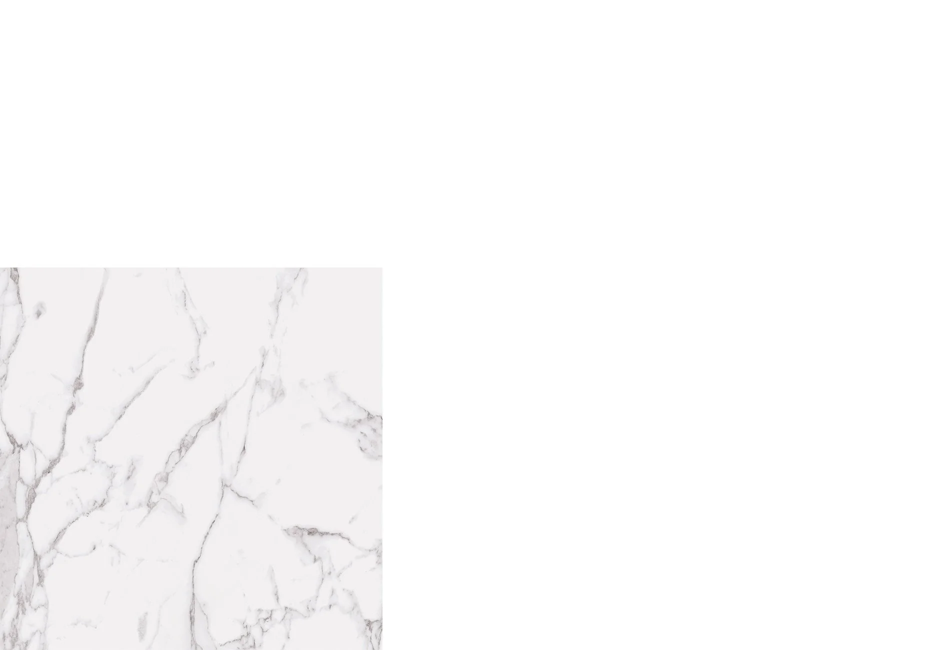 Statuary Porcelain — Statements Tile