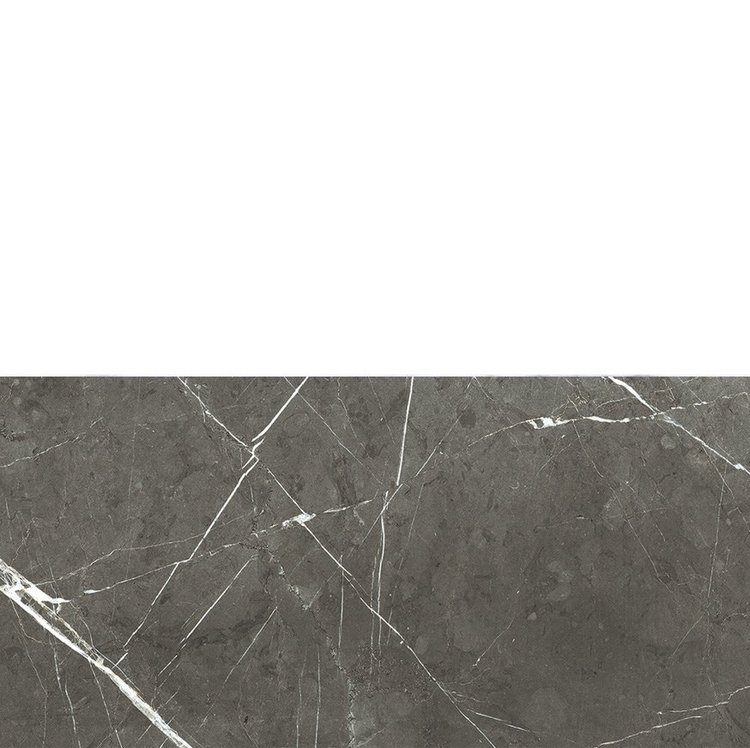 Renaissance Porcelain — Statements Tile