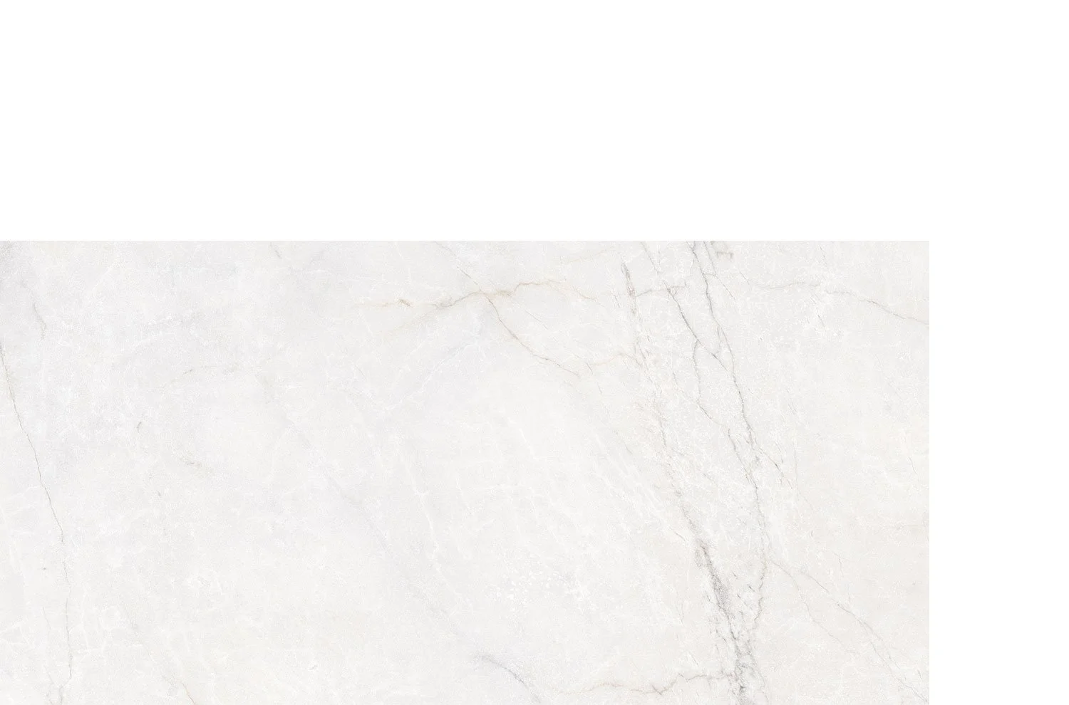 Class Porcelain — Statements Tile