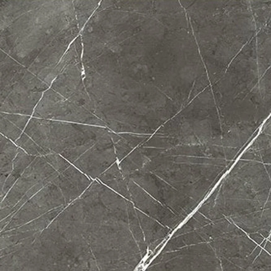 Renaissance Porcelain — Statements Tile