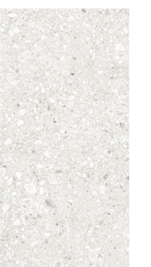 Ceppo di Gré Porcelain — Statements Tile