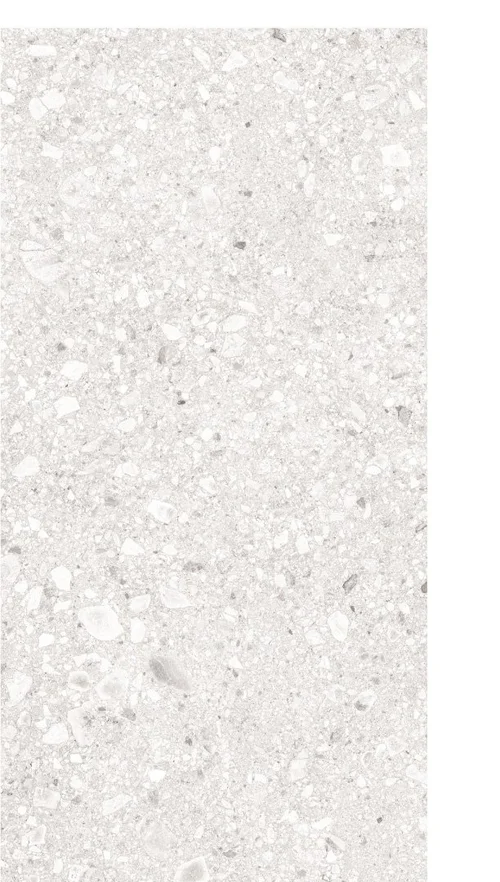 Ceppo di Gré Porcelain — Statements Tile