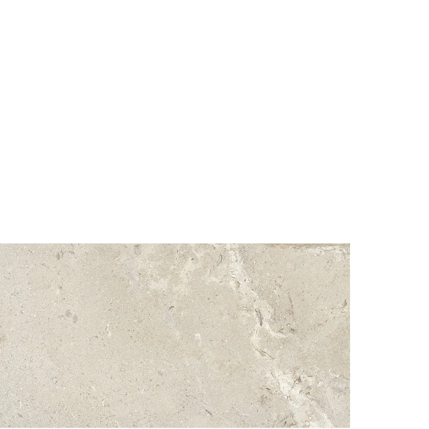 Signature Porcelain — Statements Tile