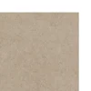 Boost Stone Porcelain — Statements Tile