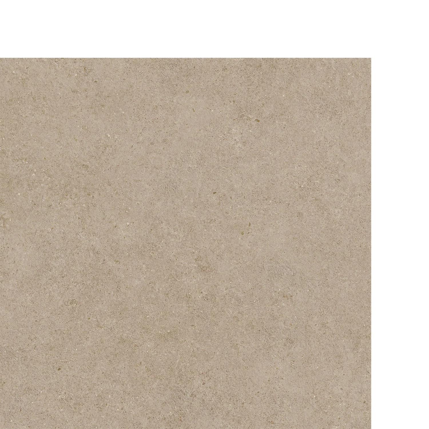 Boost Stone Porcelain — Statements Tile