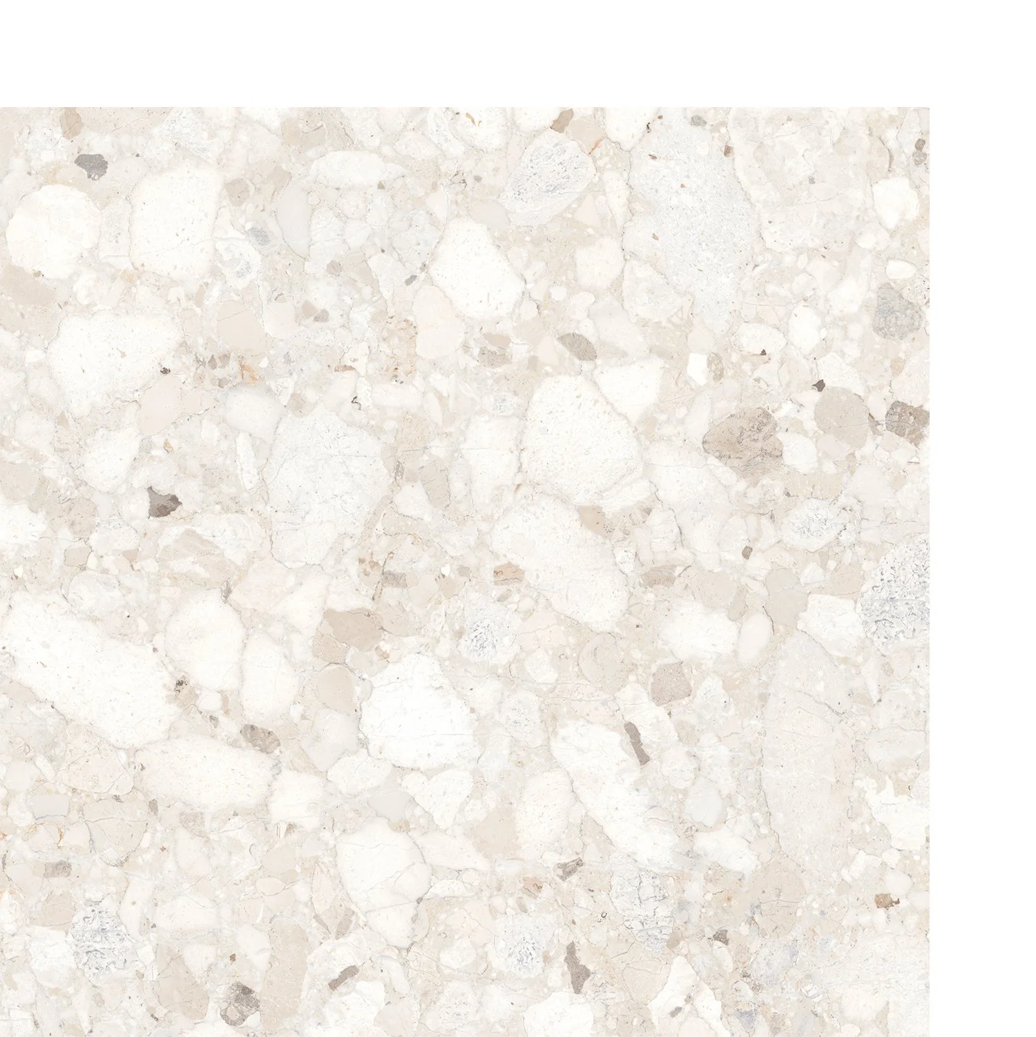 Venistone Porcelain — Statements Tile