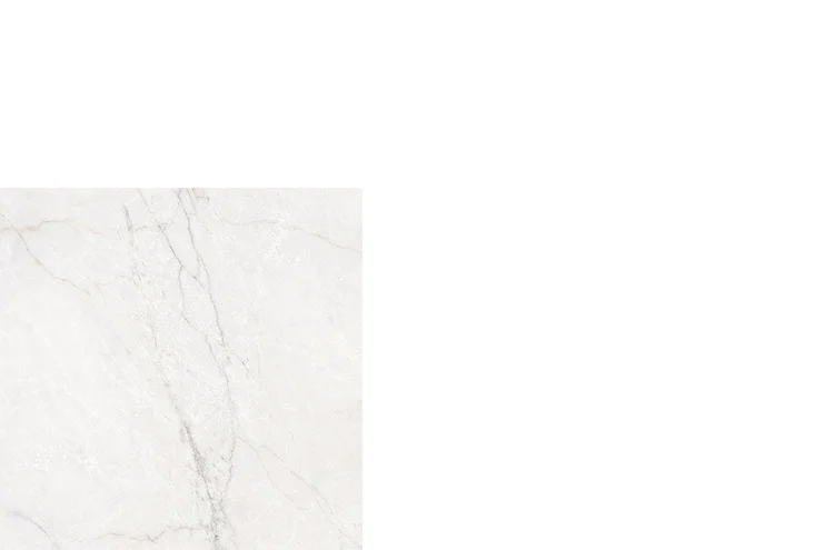Class Porcelain — Statements Tile