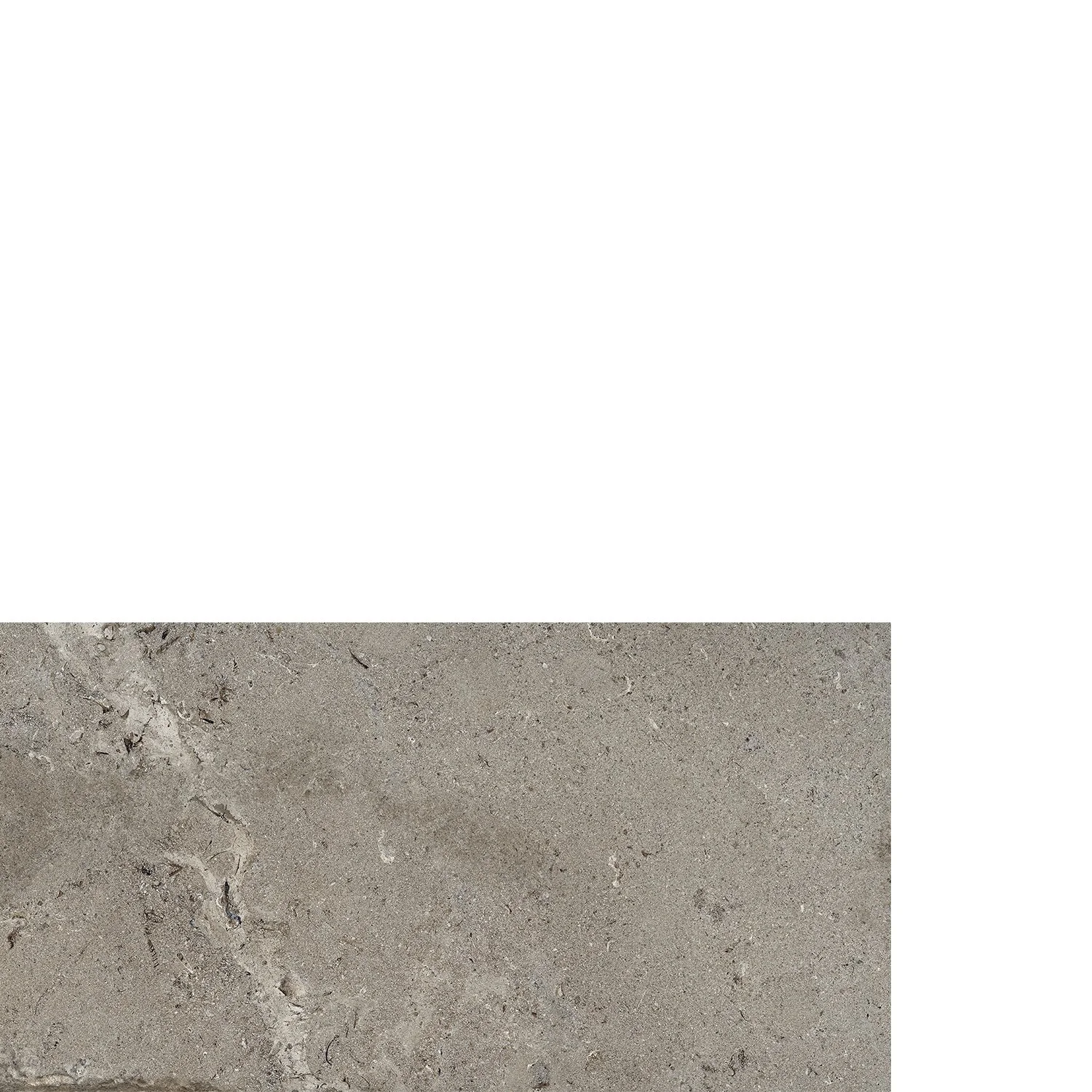 Signature Porcelain — Statements Tile
