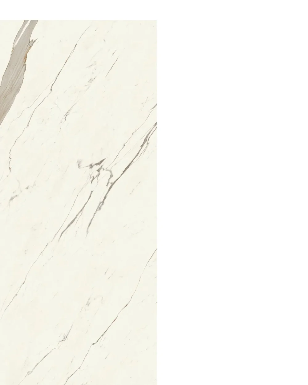 Marvel X Porcelain Slab — Statements Tile