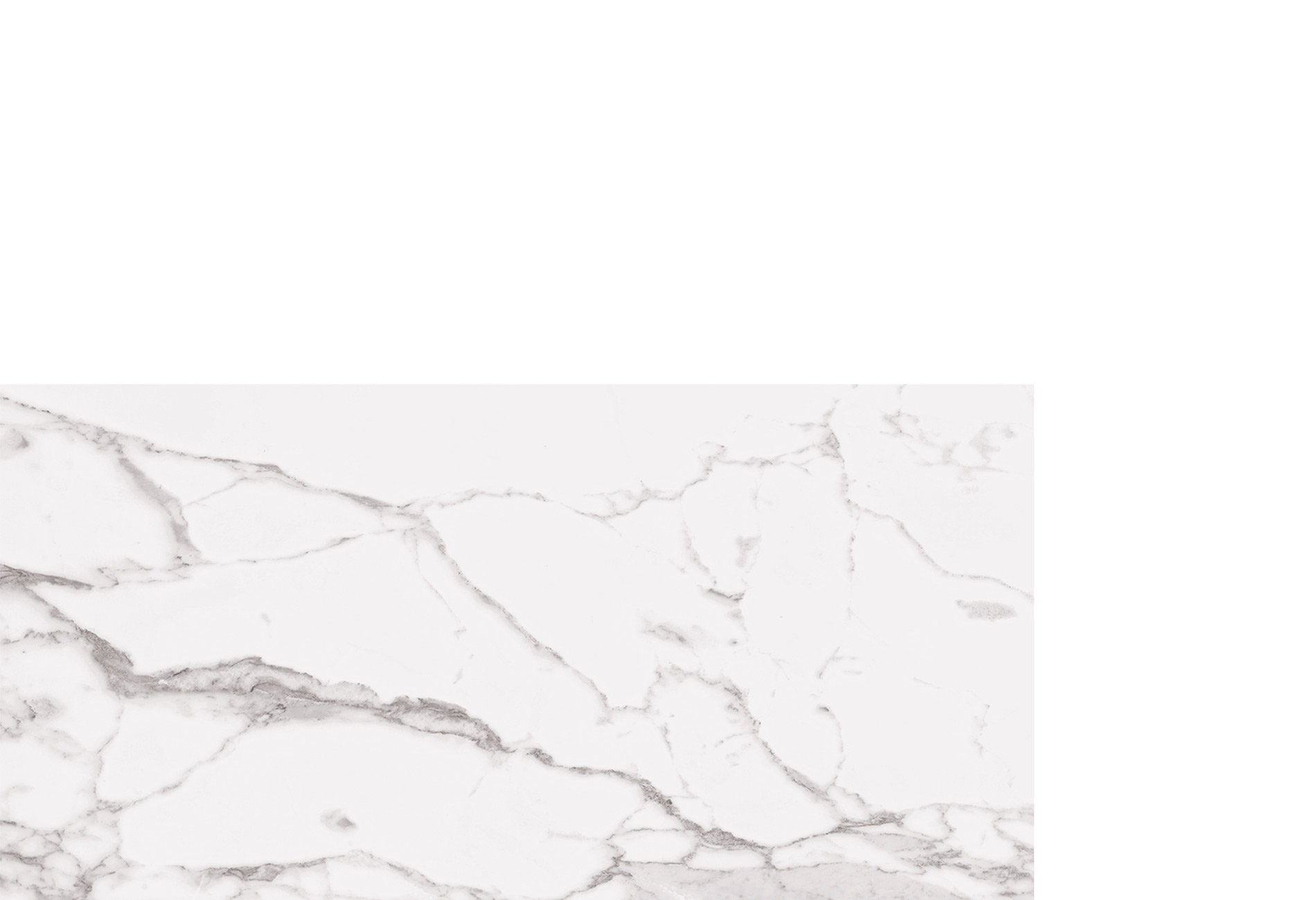 Statuary Porcelain — Statements Tile