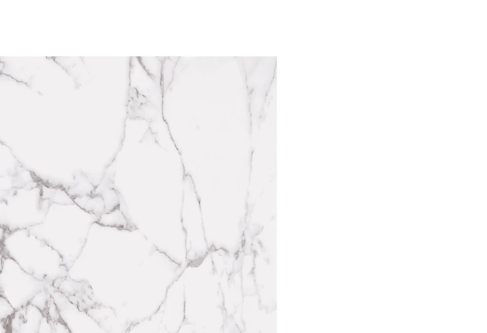 Statuary Porcelain — Statements Tile