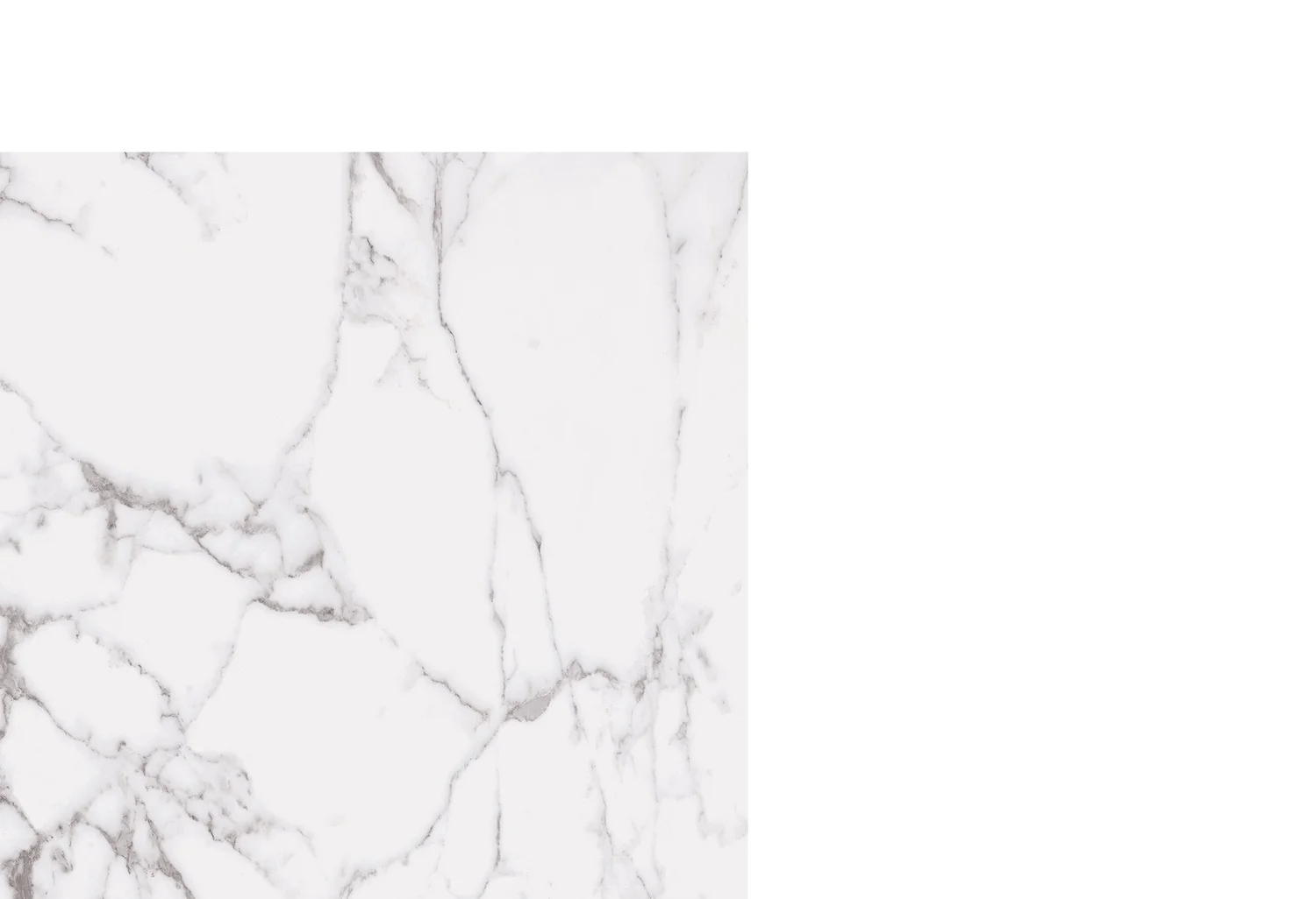 Statuary Porcelain — Statements Tile