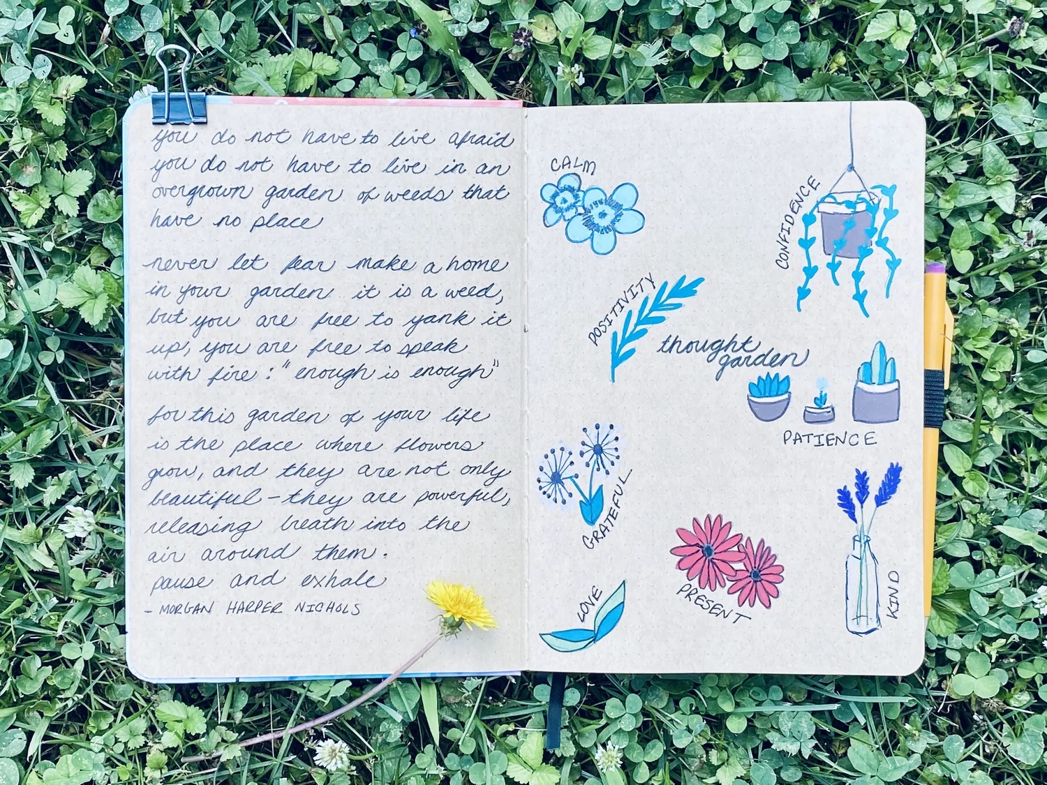 Thought Gardening: Cultivating Clarity Through Nature Journaling ...