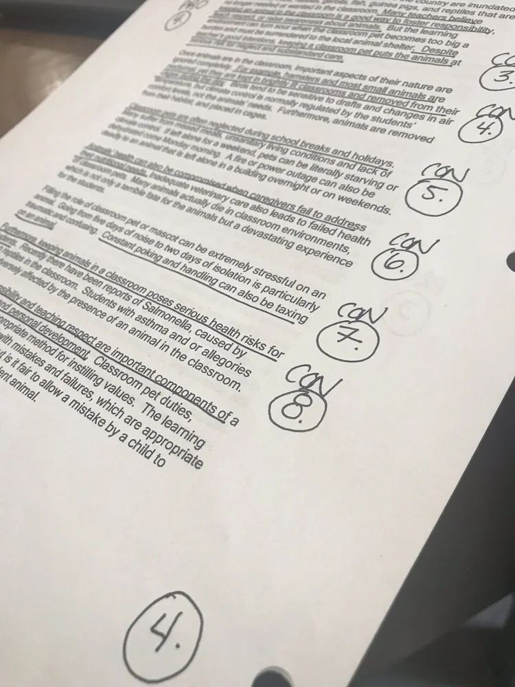 How to Do an Essay Workshop for Struggling Writers — WRITING MINDSET