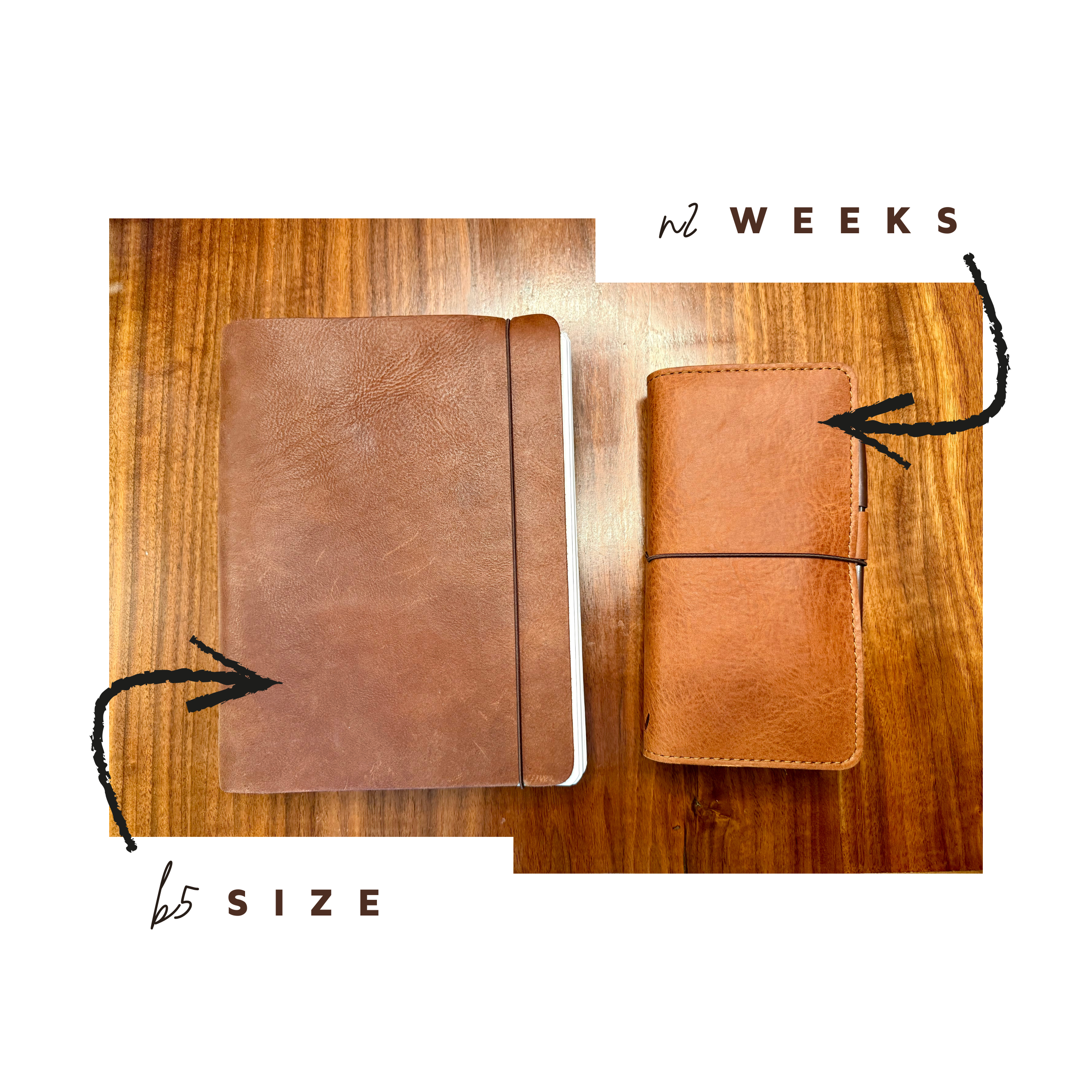 Chic Sparrow Traveler's Notebook Covers (5 Different Sizes!) — WRITING ...