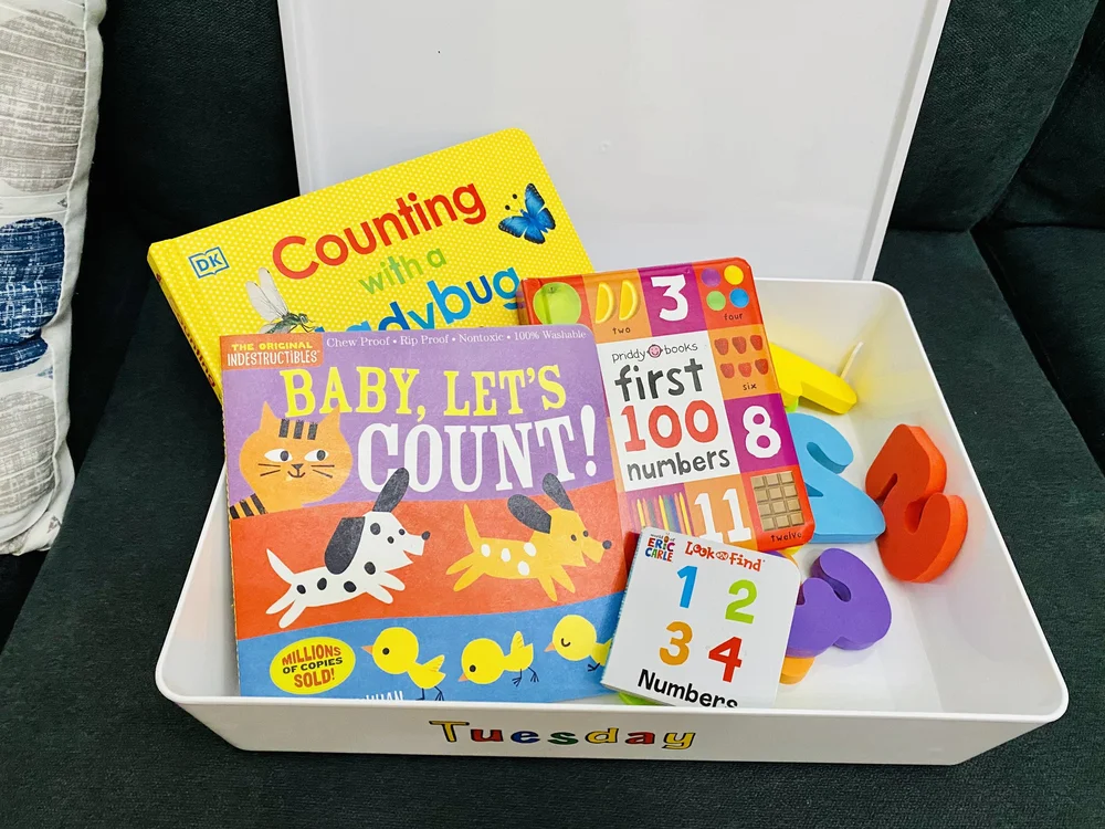 Boost Your Toddler's Brainpower with Early Literacy Learning Bins ...