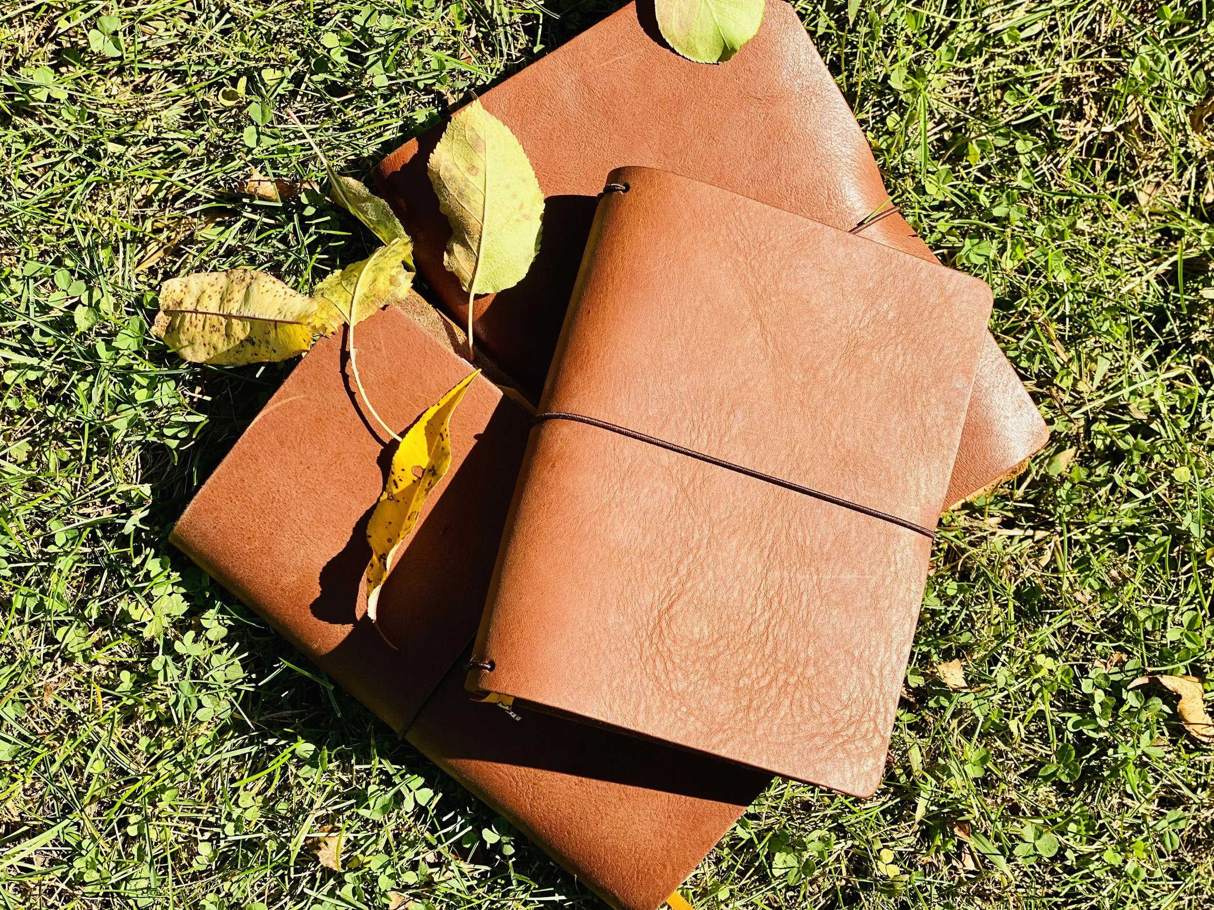 Chic Sparrow Traveler's Notebook Covers A5, TN, & B6 — WRITING MINDSET
