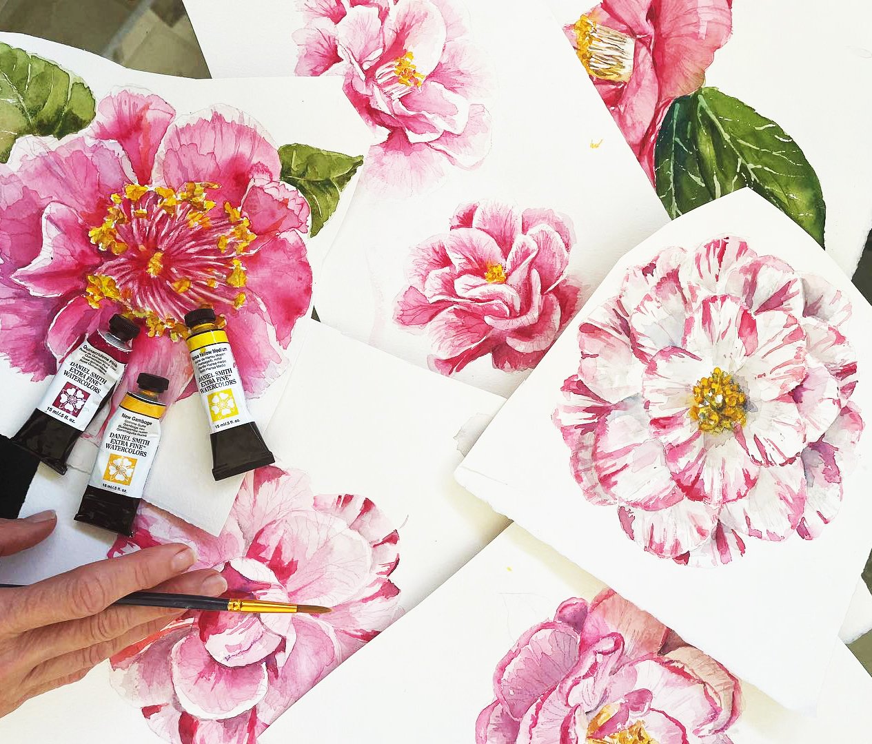 Barb Tourtillotte Illustration