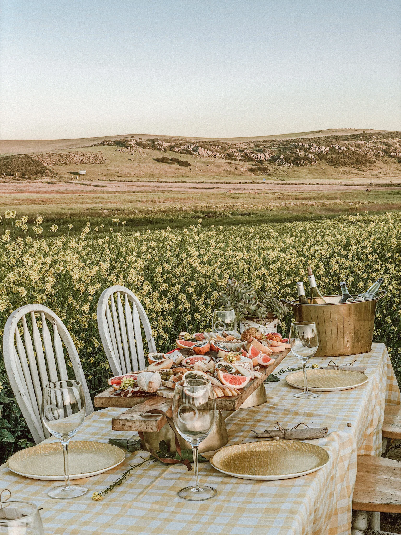 Valle de Guadalupe — Carina Travel Studio