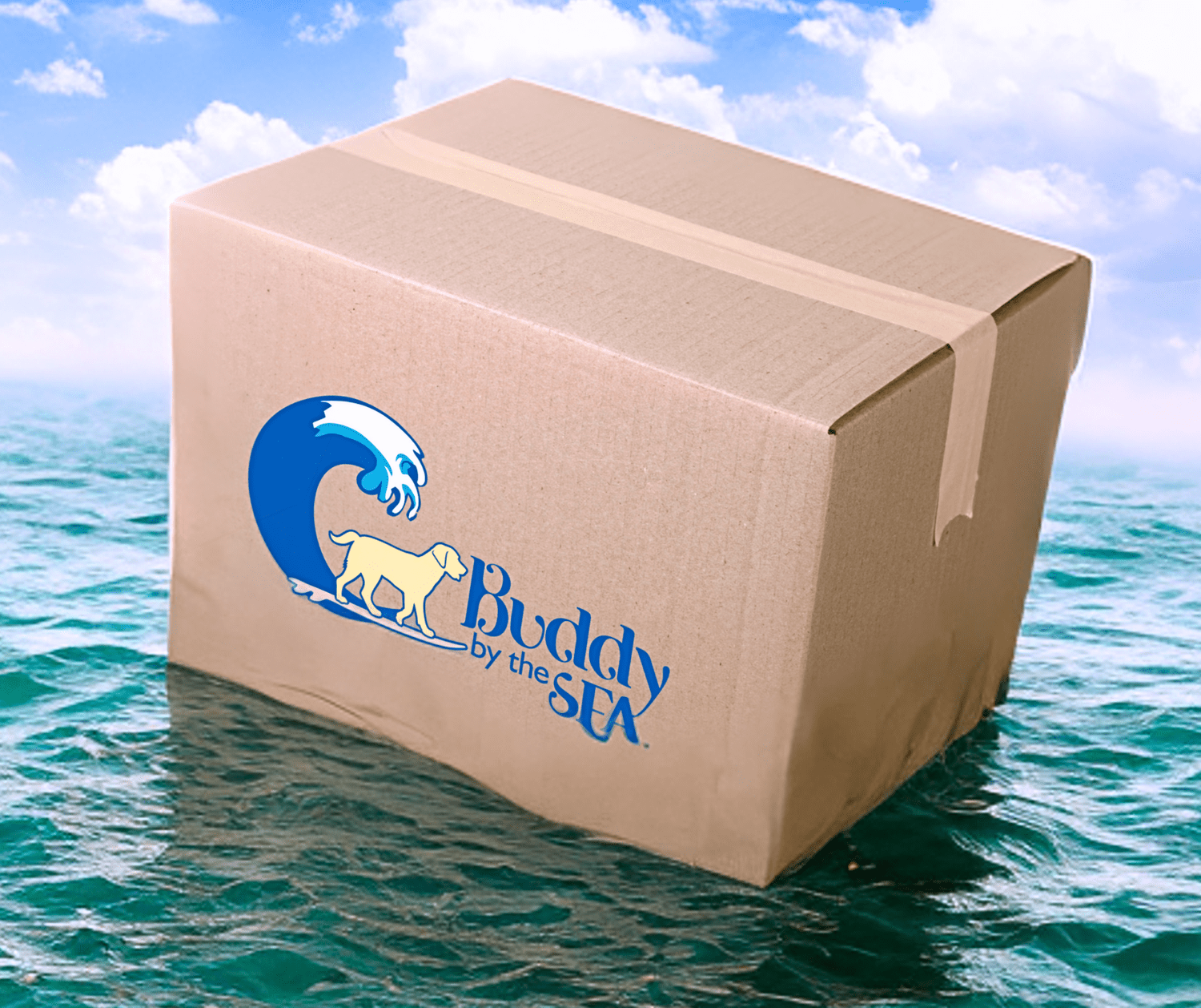 Mystery Boxes | Explore Mystery Boxes – Shop Now — Buddy by the Sea