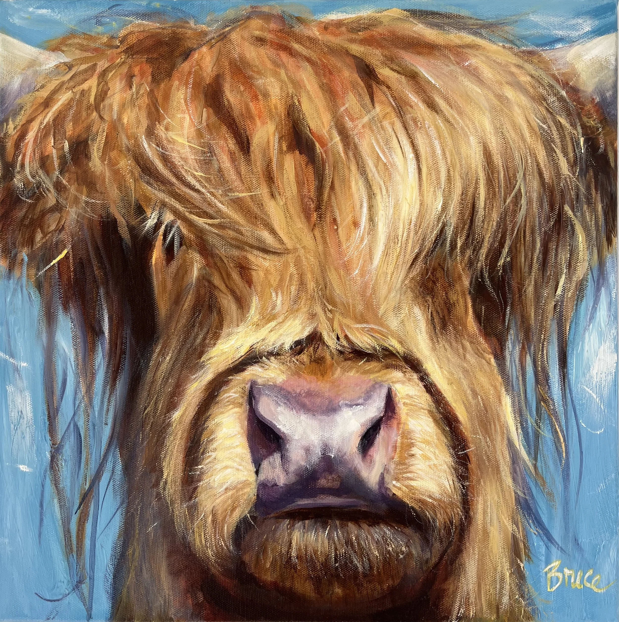 Hairy coo — Graham Bruce Richards