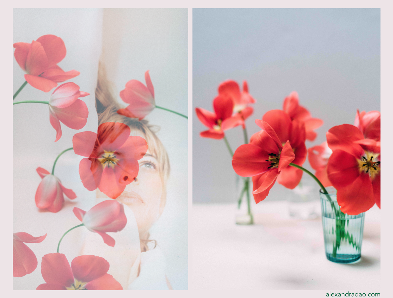 family photography greenwich London children contemporary south east London