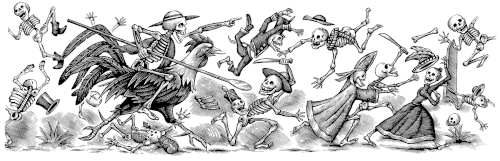 Story of Espolòn 100% Agave Premium Tequila — Tequila Espolon