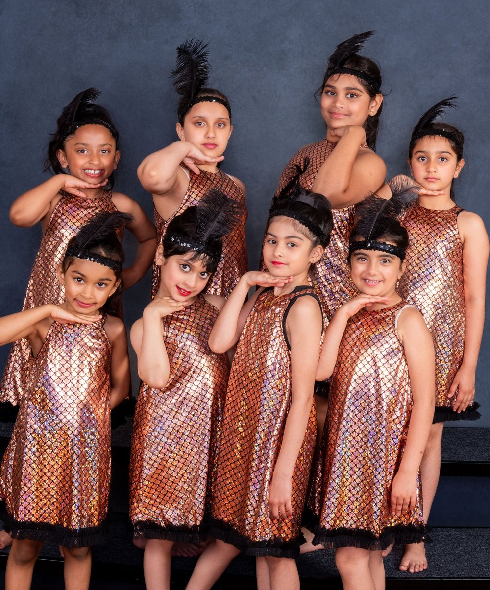 SDA Class Descriptions — Shehnaaz Dance Academy