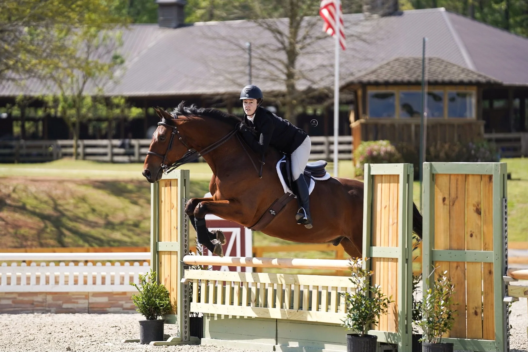 Atlanta Equestrian
