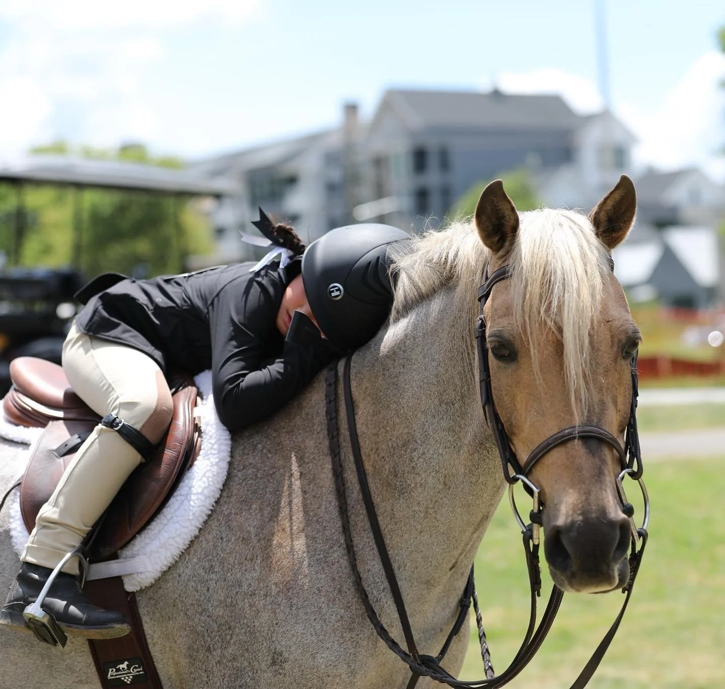 Atlanta Equestrian