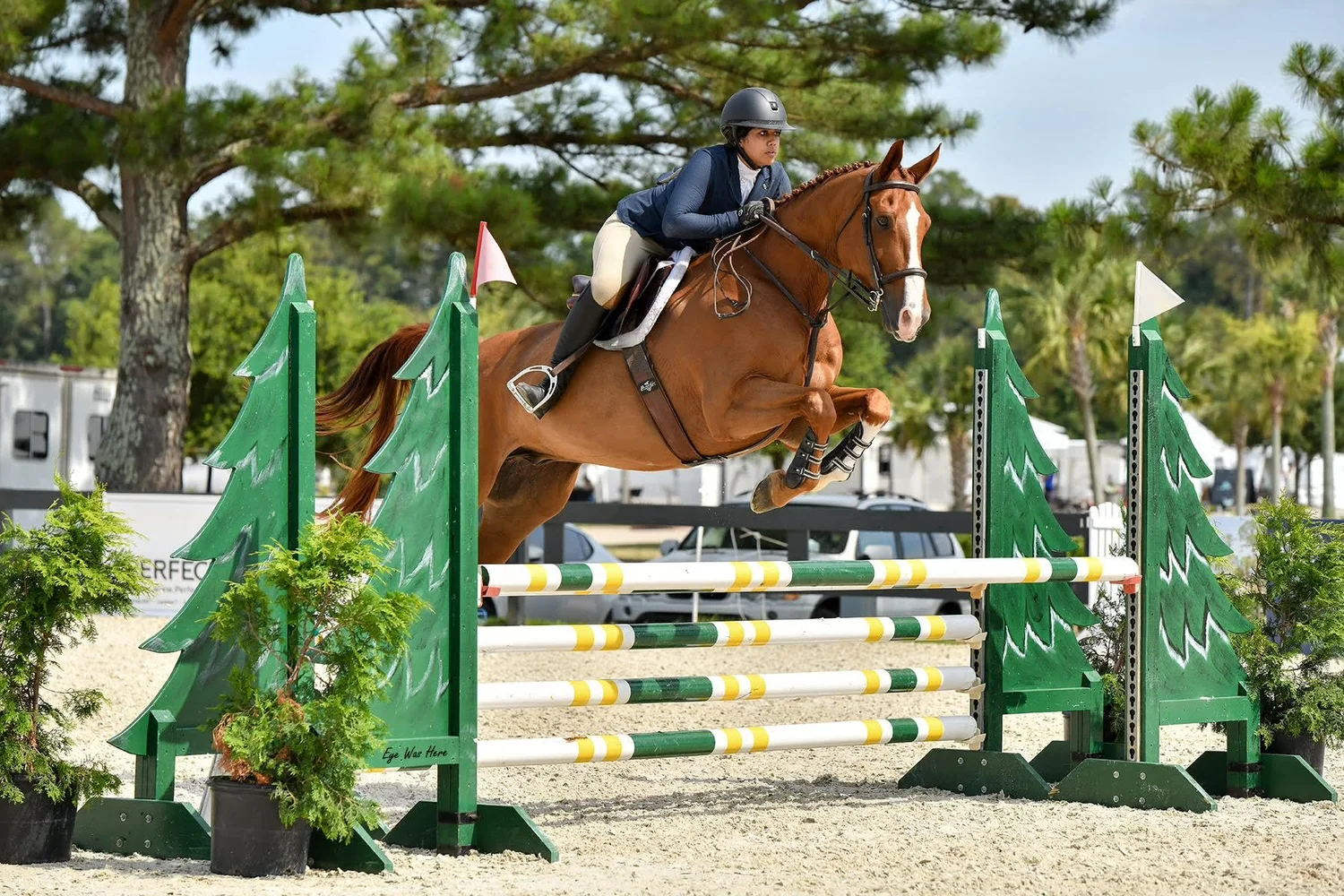Atlanta Equestrian