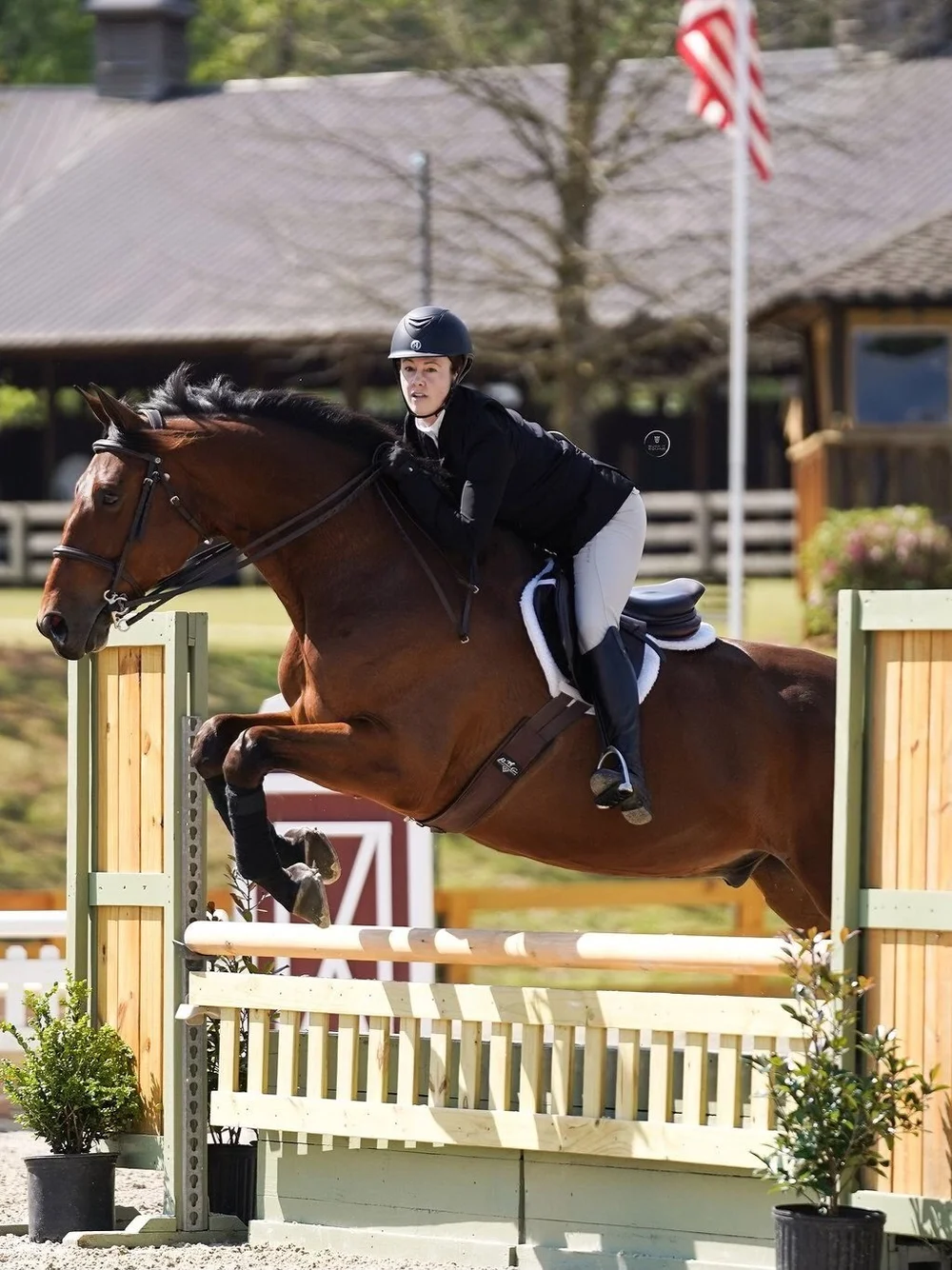 Atlanta Equestrian