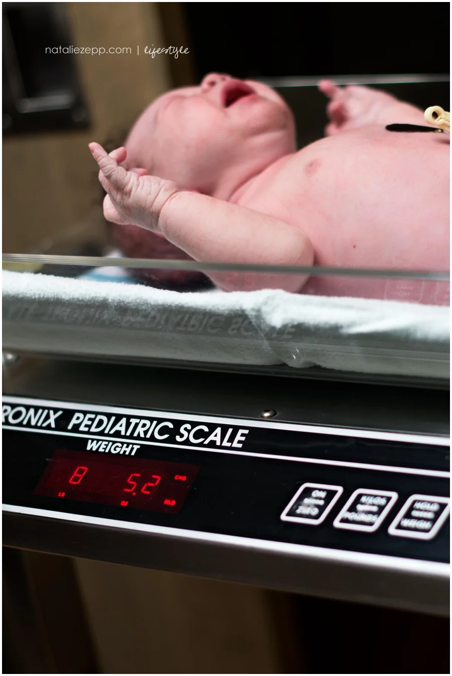 Happy Birthday Jason | Pensacola Birth Photographer — Pensacola ...