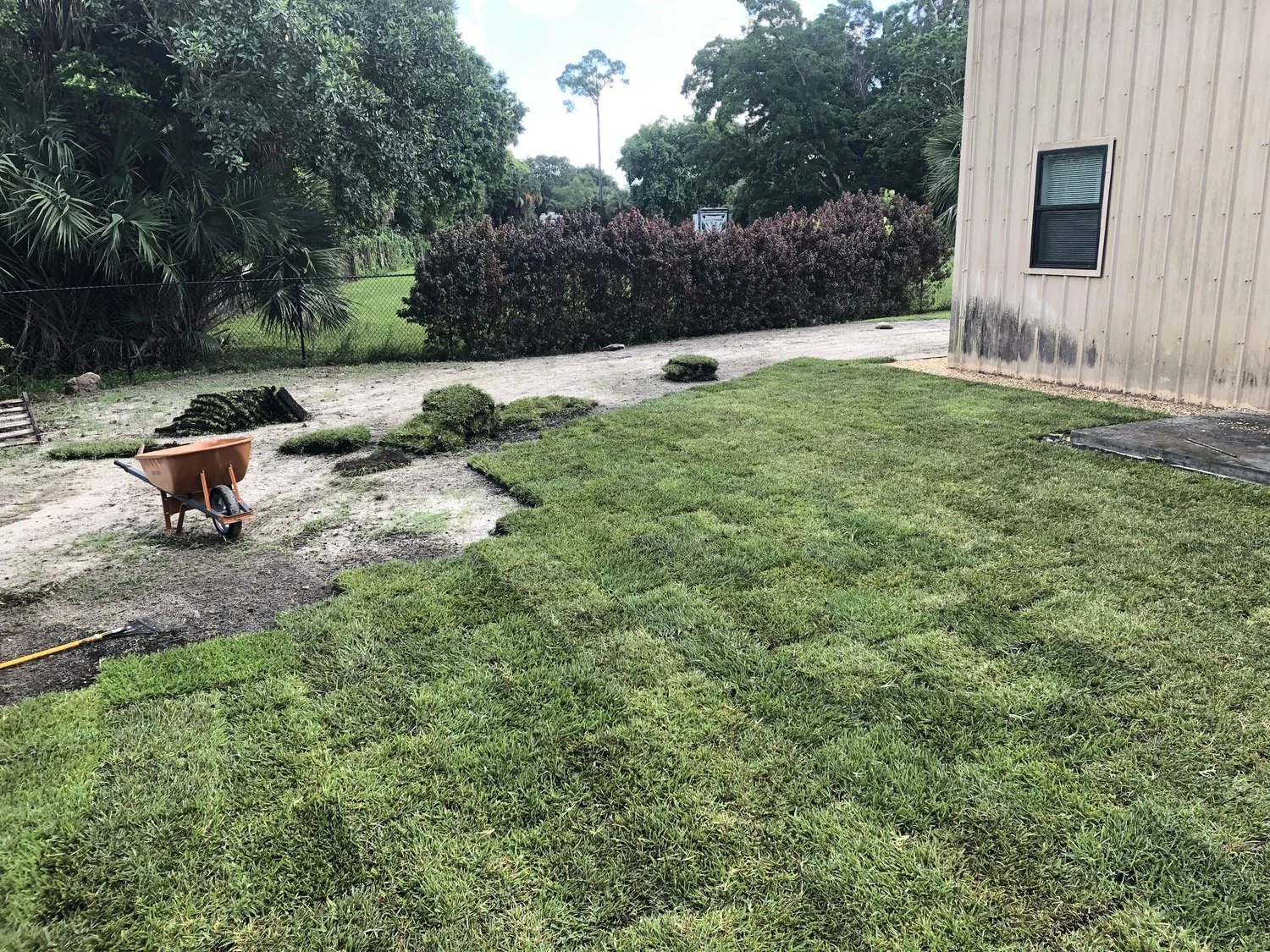 Salgado tree trimming