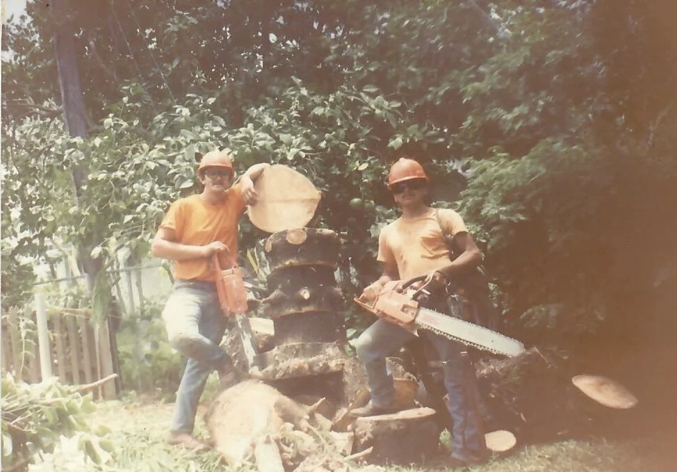 Salgado tree trimming