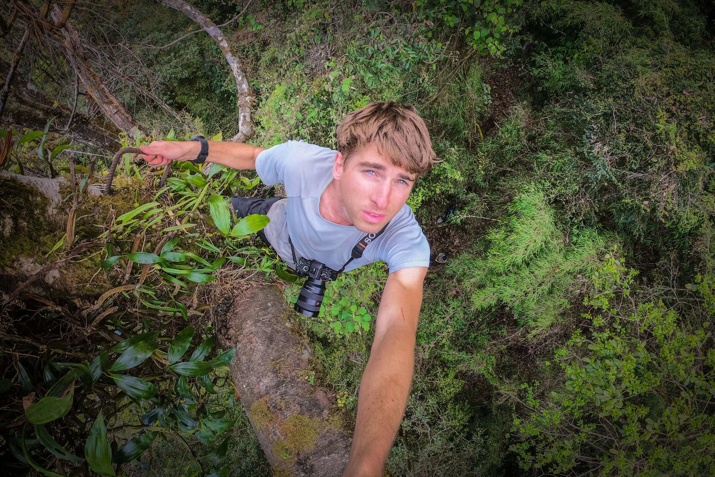 About — kyle obermann