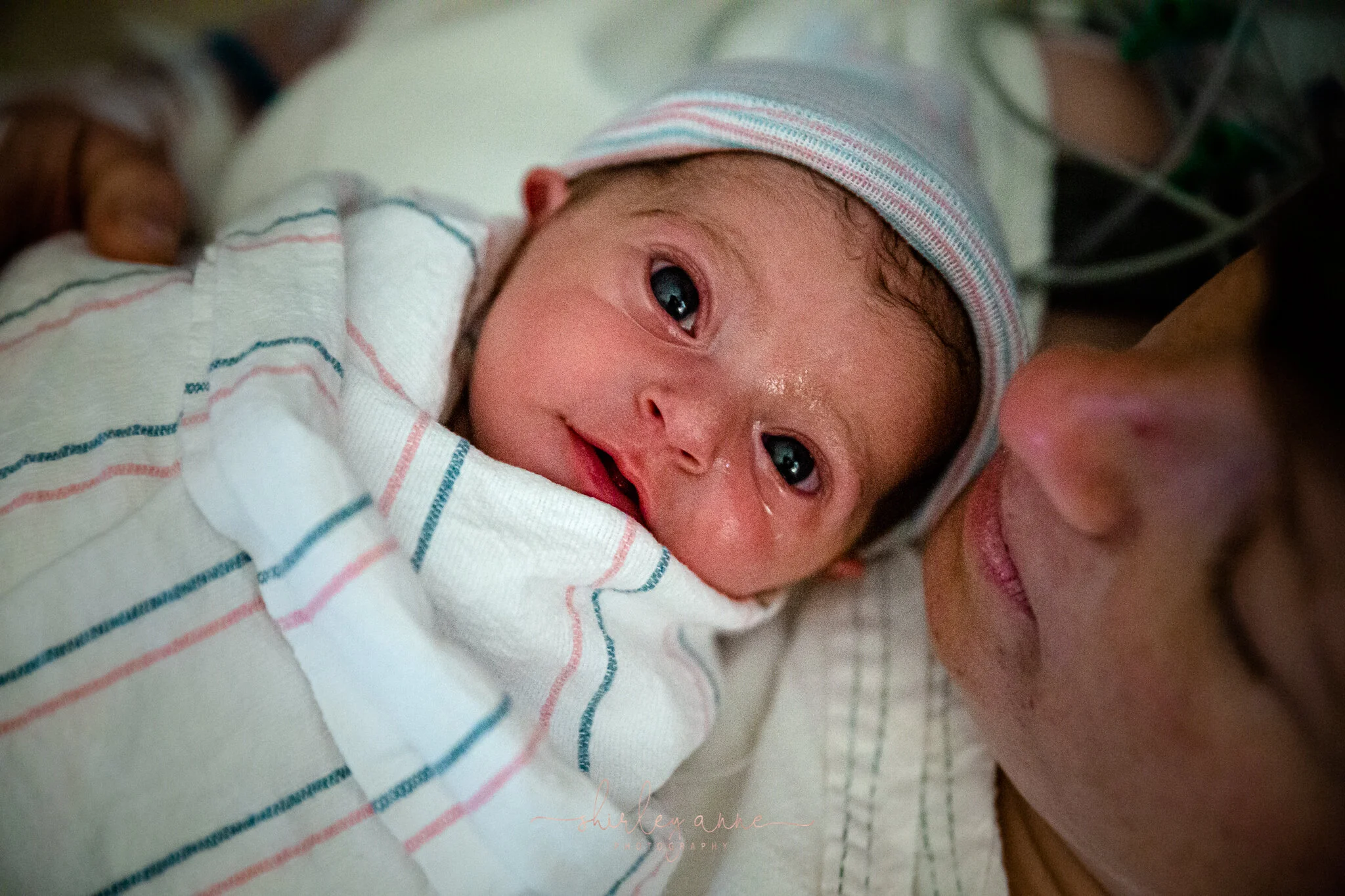 New Parent Services - Photographer and Postpartum Doula