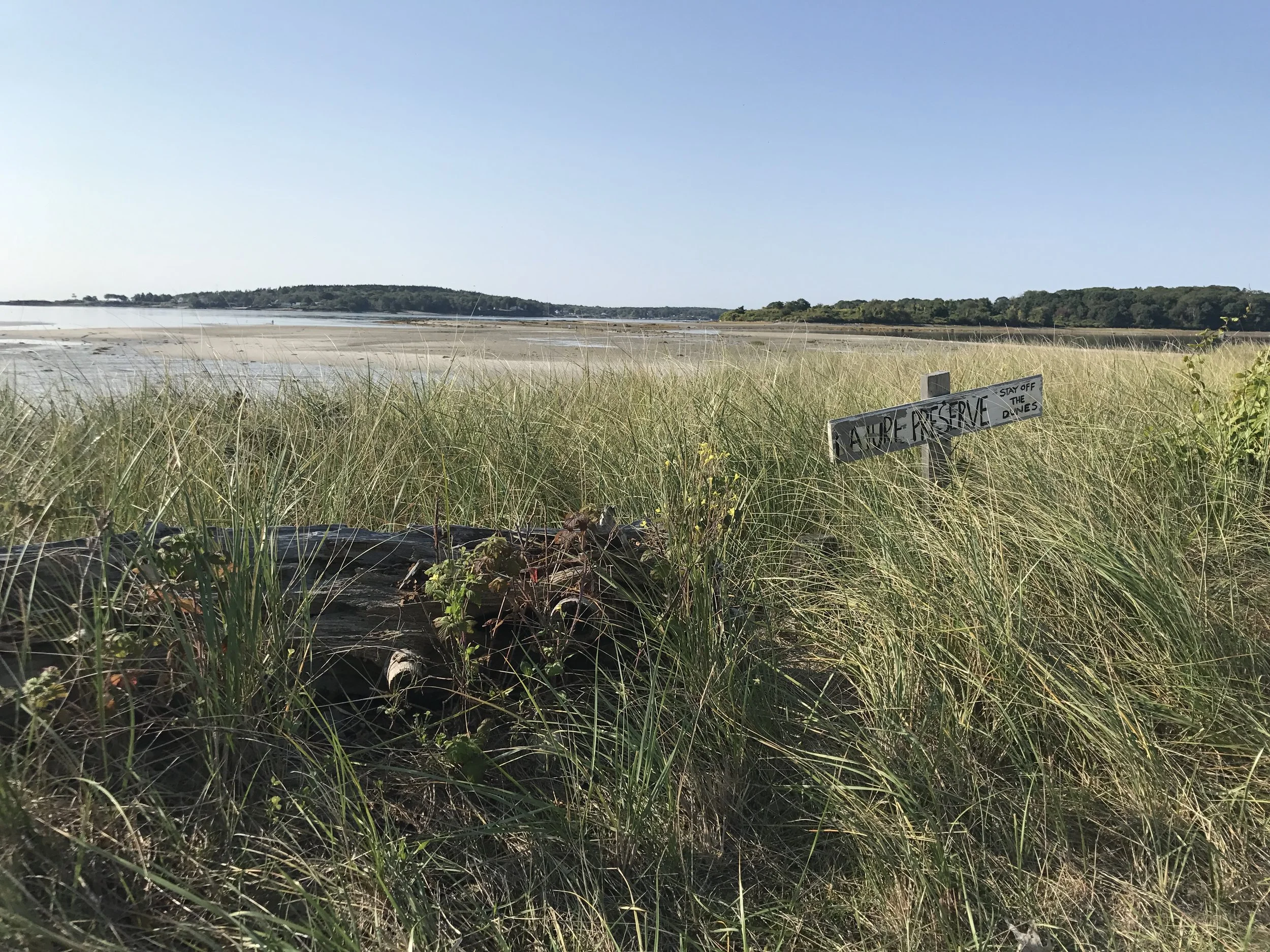 Island Activities — Chebeague Island Inn