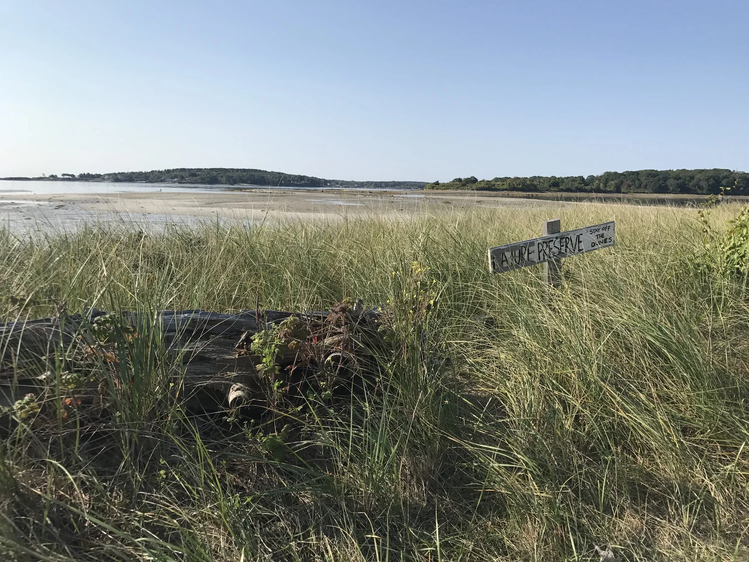 Island Activities — Chebeague Island Inn
