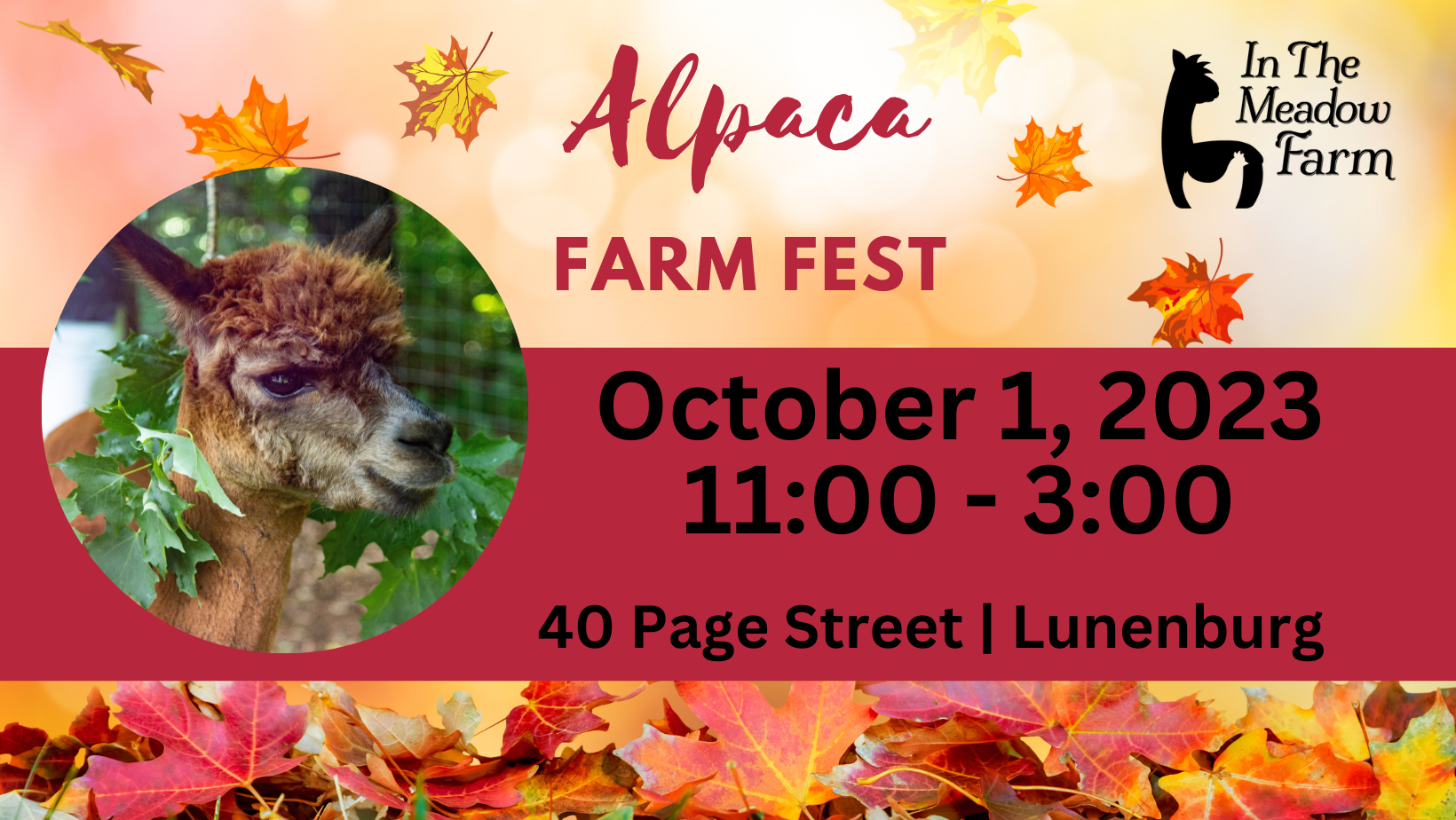 Alpaca Fall Fest — In The Meadow Farm Alpacas