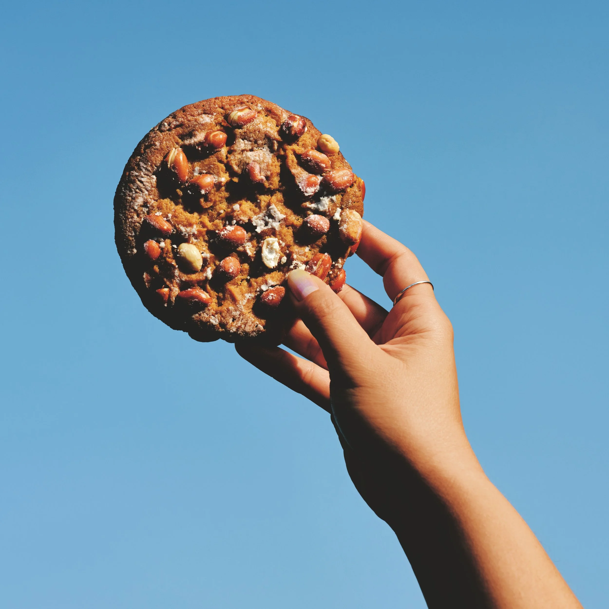 Nathasha Pickowicz's Shoyu Peanut Cookies — Edible LA