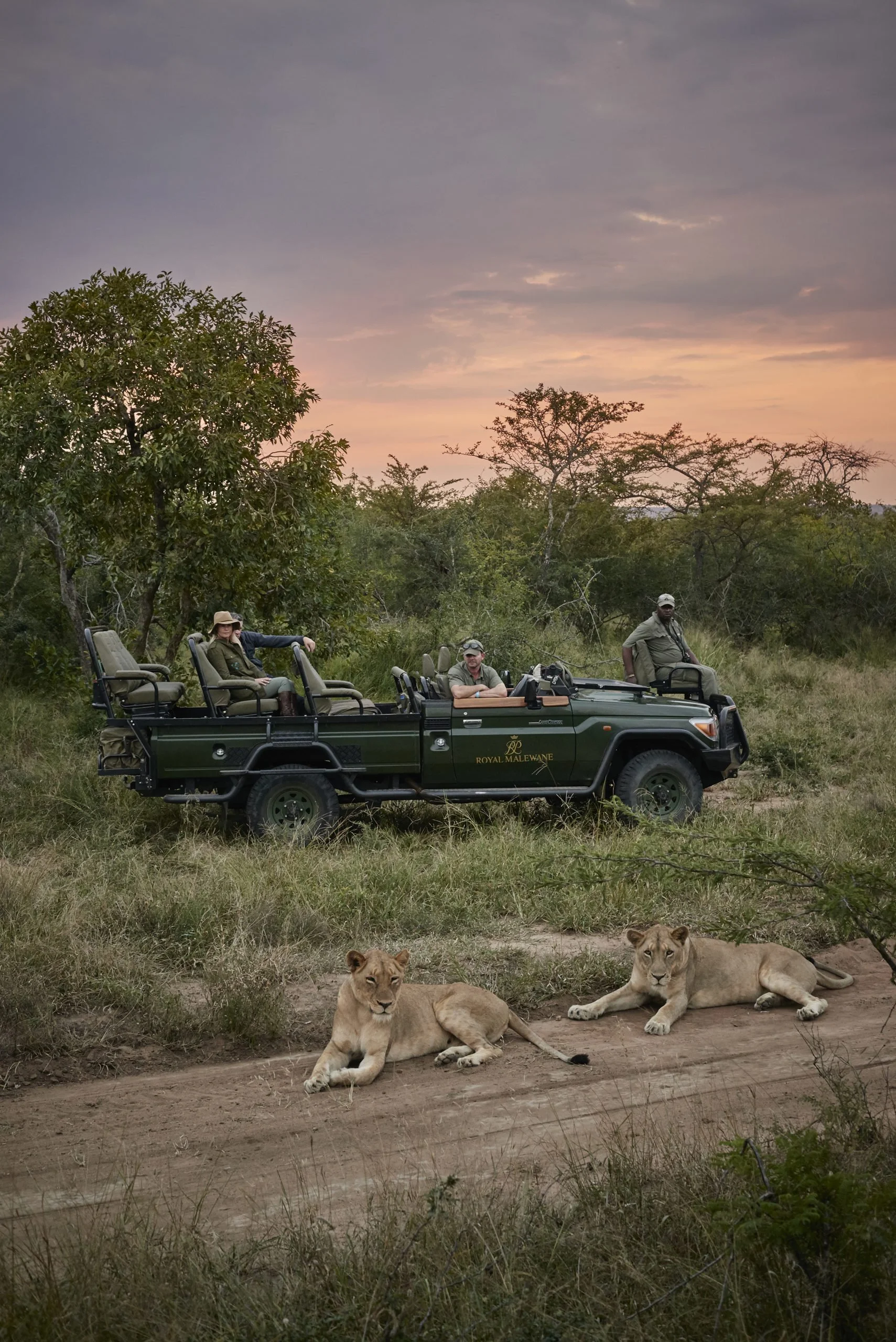 The Royal Treatment: A Safari in South Africa's Greater Kruger National ...