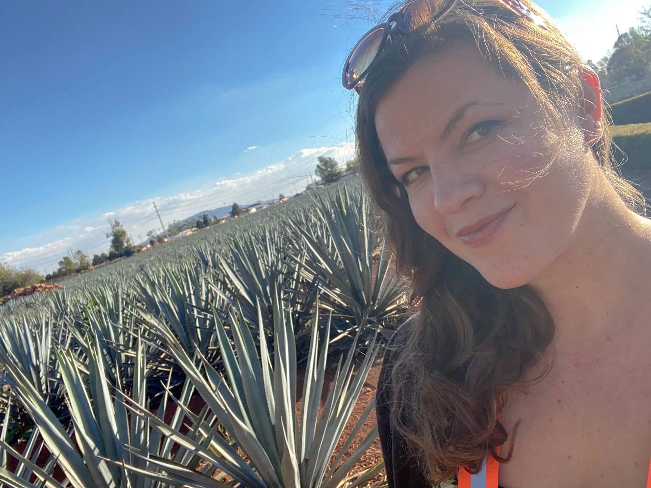 How to Make a Tequila 101 with Spirits Whisperer Virginia Miller ...