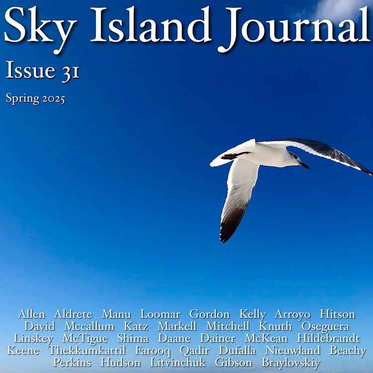 Issue 31, Spring 2025 — Sky Island Journal