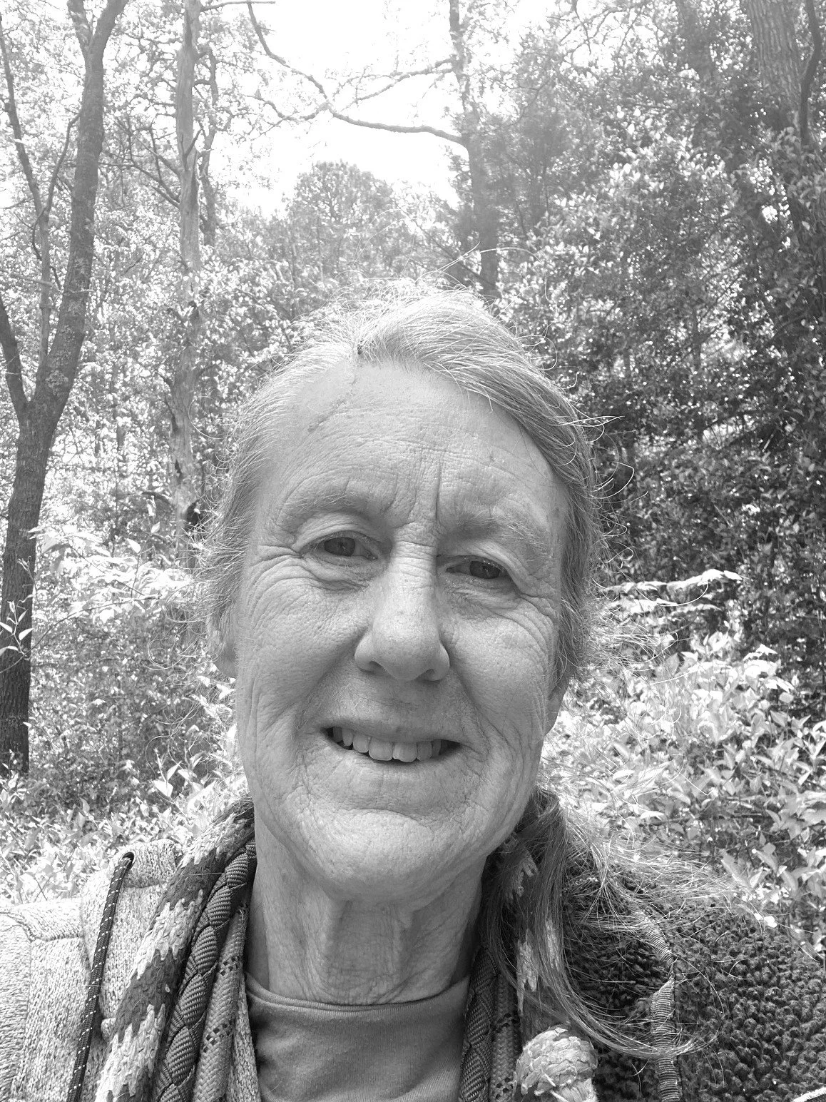 Issue 25, Summer 2023 — Sky Island Journal