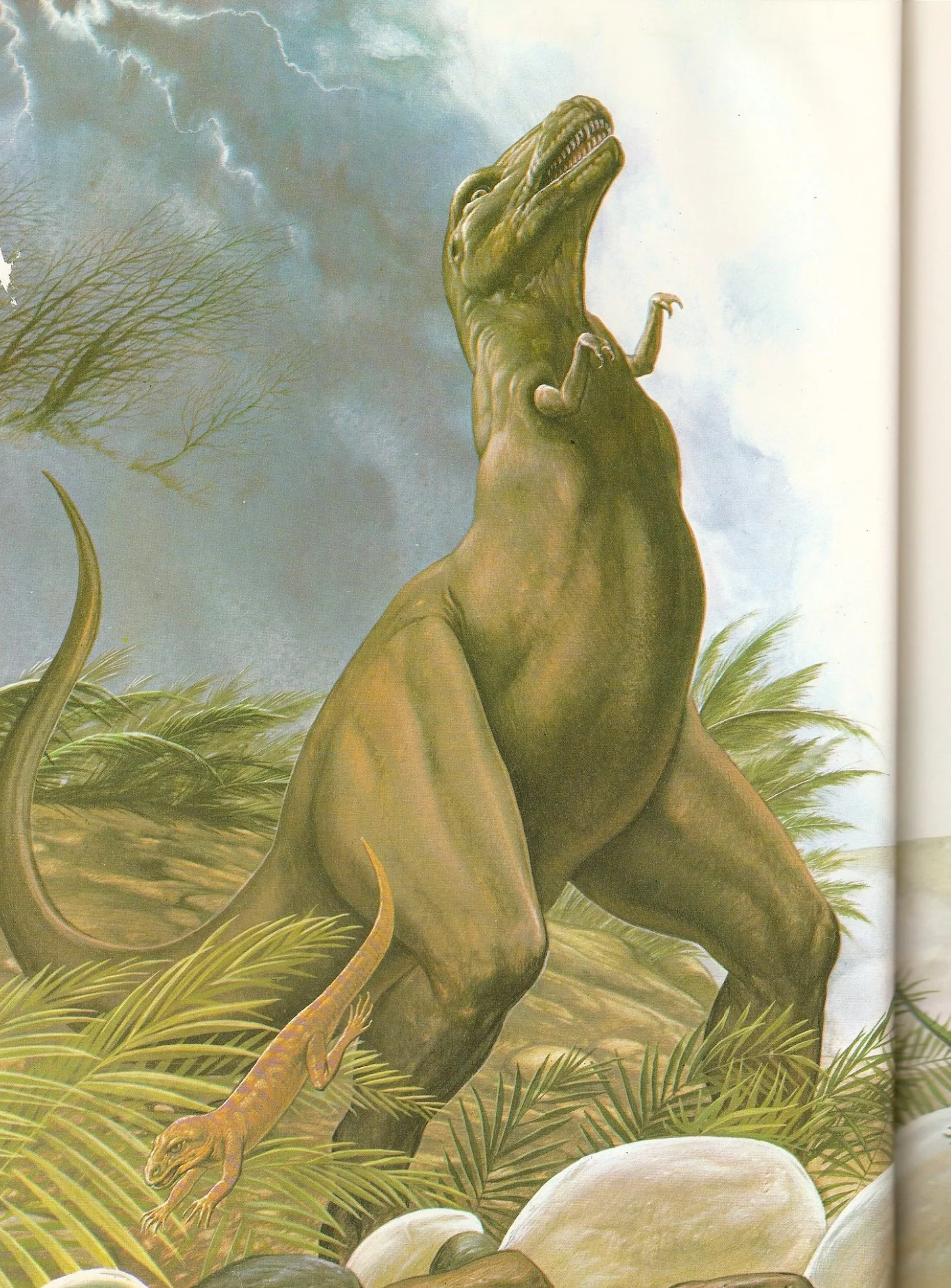 Jake's Desk — MRJAKEPARKER.COM